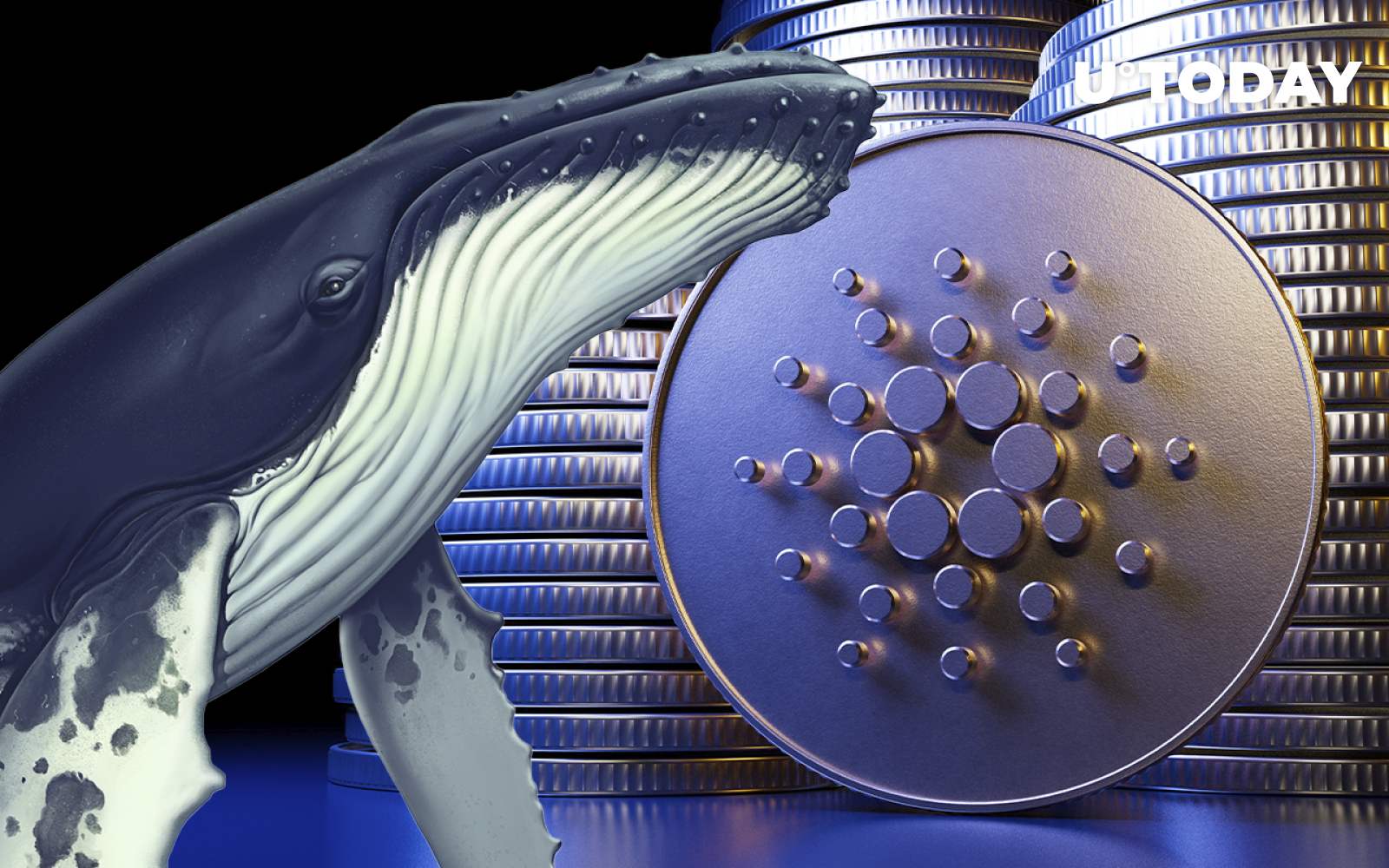 Cardano Sees Inflow of New Whales Since March – They Hold up to 12 ...