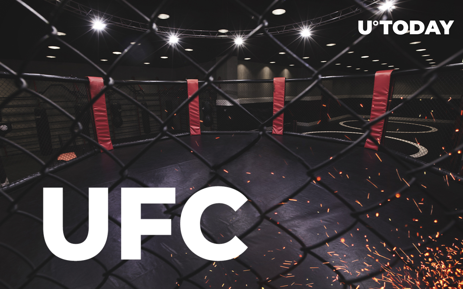 UFC to Pay Fighters in Cryptocurrency - U.Today