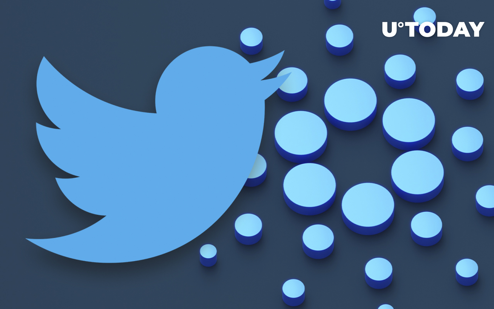 Cardano Founder Wants to Build Decentralized Twitter with Elon Musk Cardano Founder Wants to Build Decentralized Twitter with Elon Musk