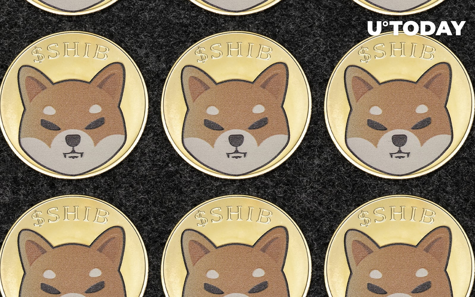 223 Billion SHIB Grabbed by Top Whale as Shiba Inu Returns as Most ...