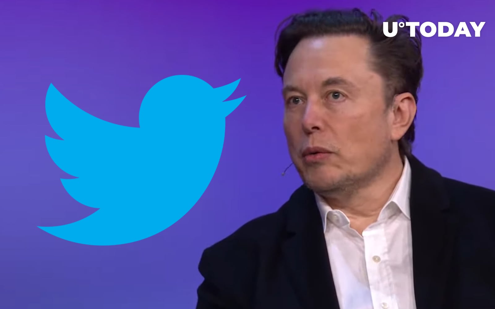 Cardano Founder Expects Significant Improvements in Twitter Under Musk ...