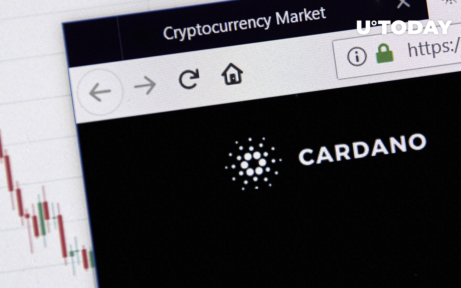 Cardano Reports Massive Spike In Number Of Plutus Scripts On Network