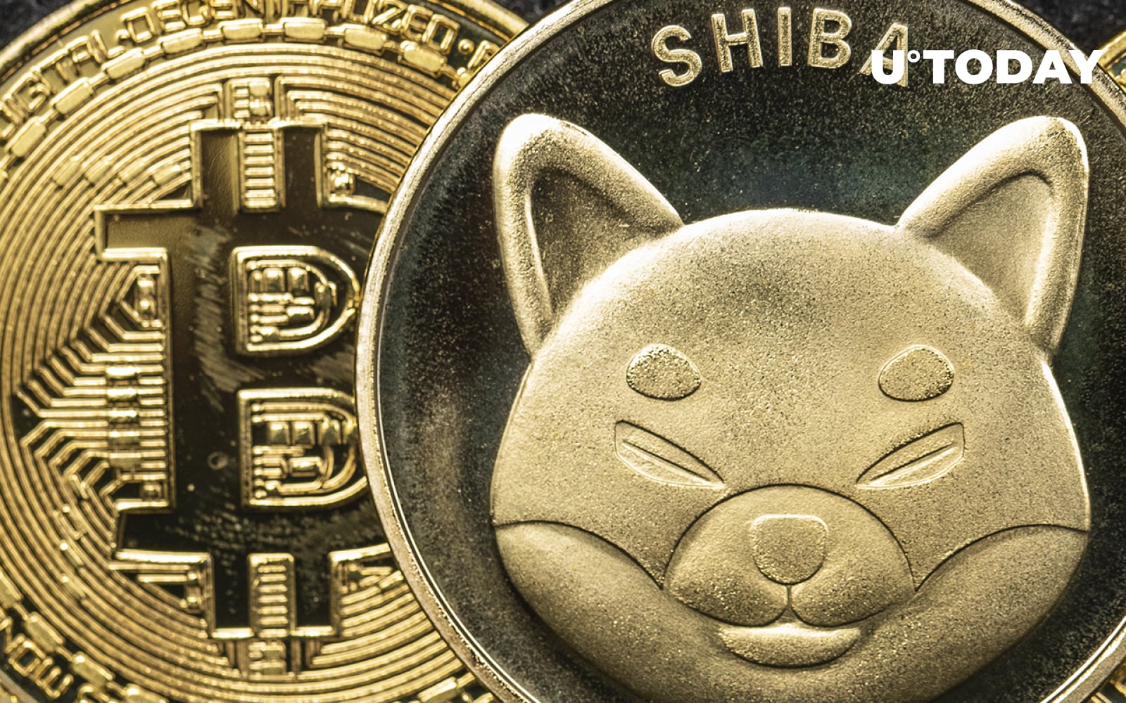 Shiba Inu, Bitcoin Now Accepted as Payment by Minnesota-Based Jewelry ...