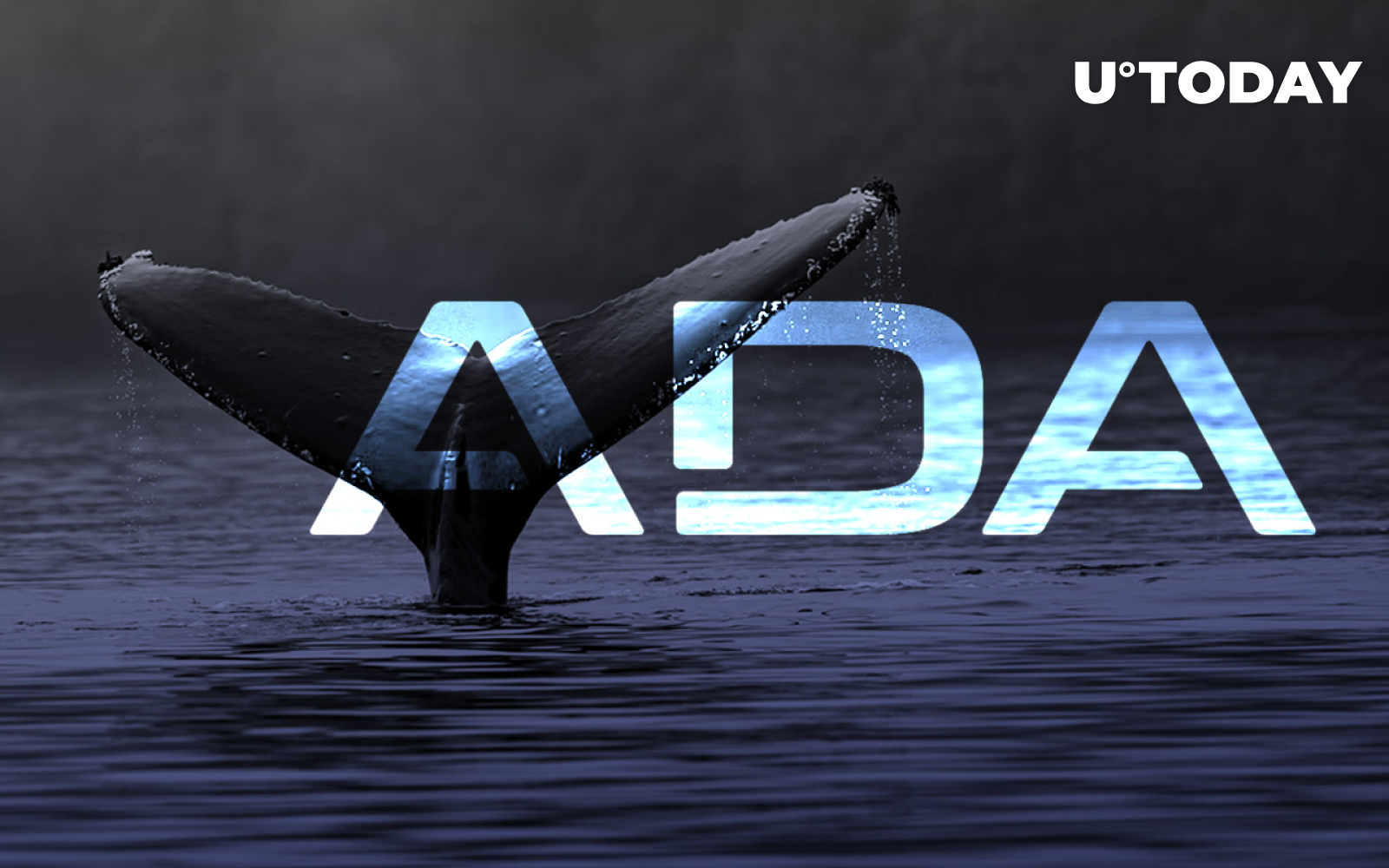 ADA Goes Up As Whales Start Accumulating on The Dip - U.Today