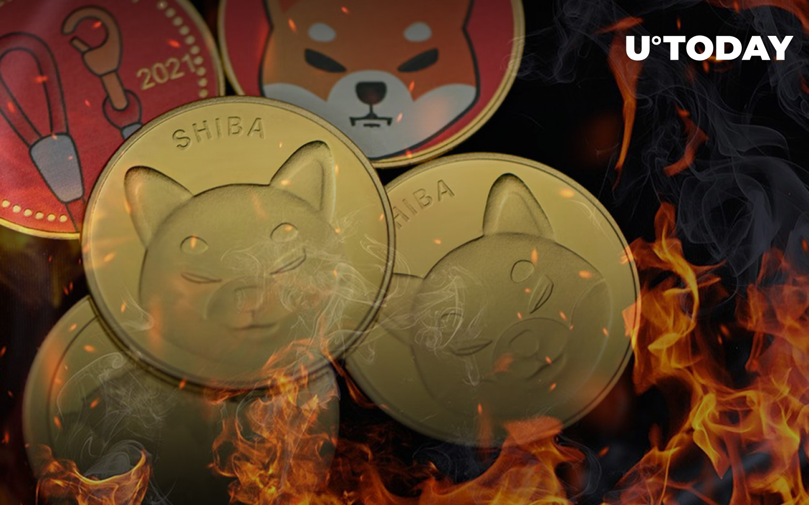 1.1 Billion SHIB Burned in 7 Days as SHIB Is Back on Top 10 Holdings ...