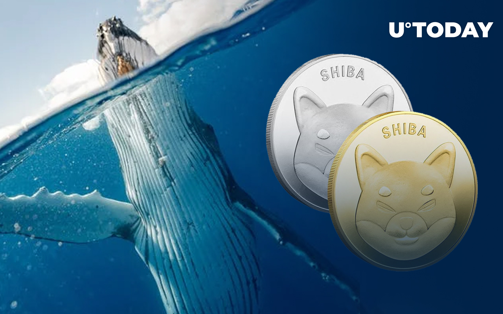 Shiba Inu Active Whale Addresses Jump 44% as SHIB Usage Increases - U.Today