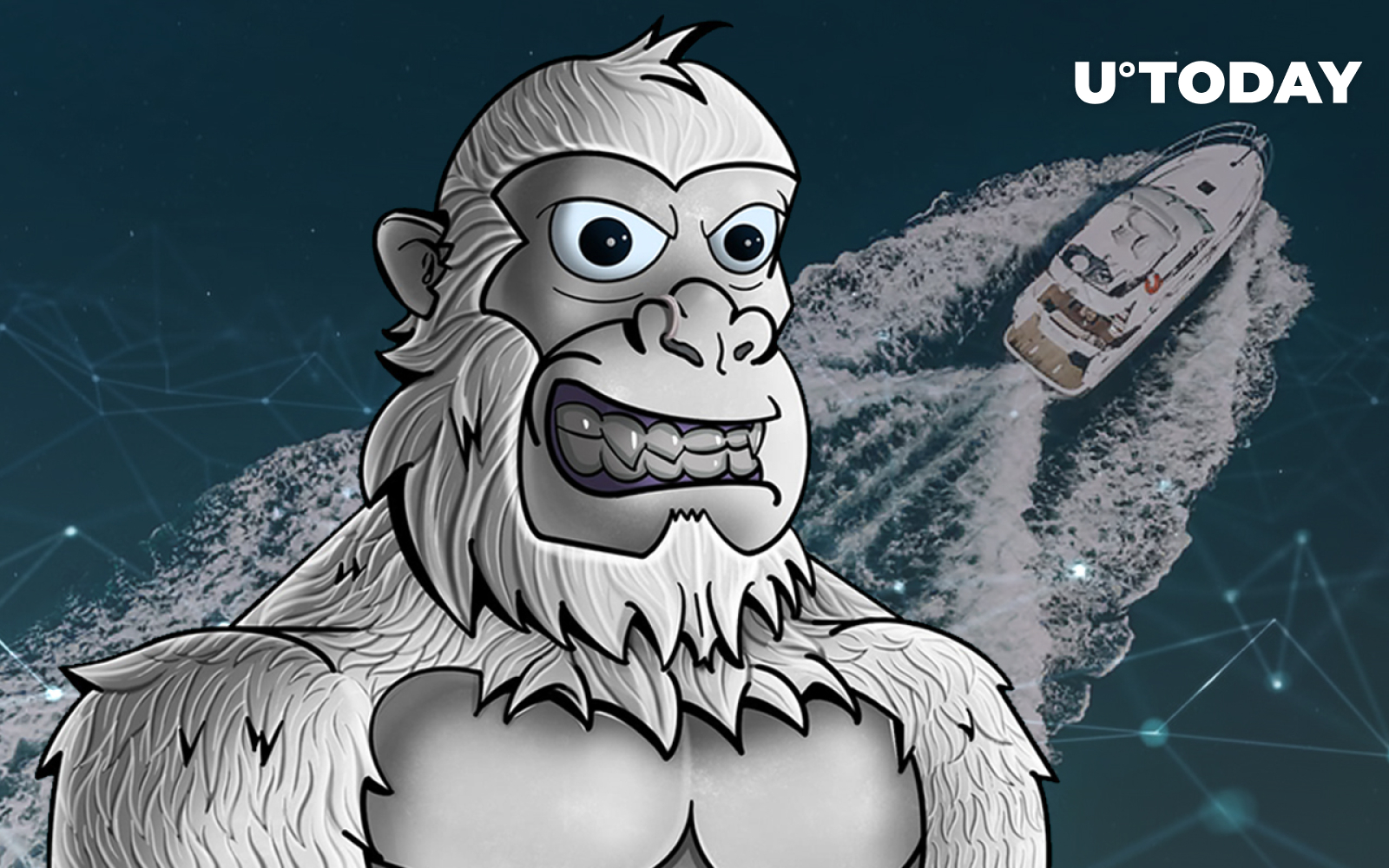 Yeti Yacht Club NFT Collection Goes Live to Challenge BAYC Supremacy ...