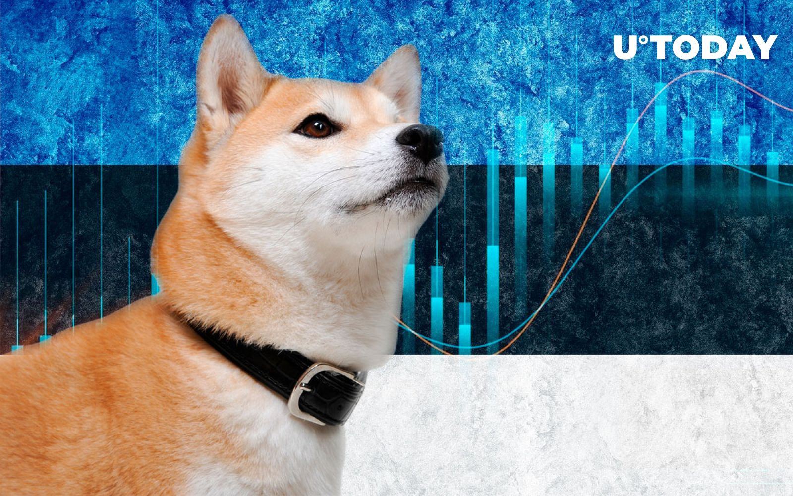 Shiba Inu, BONE and LEASH List on Leading Estonian Exchange: Details