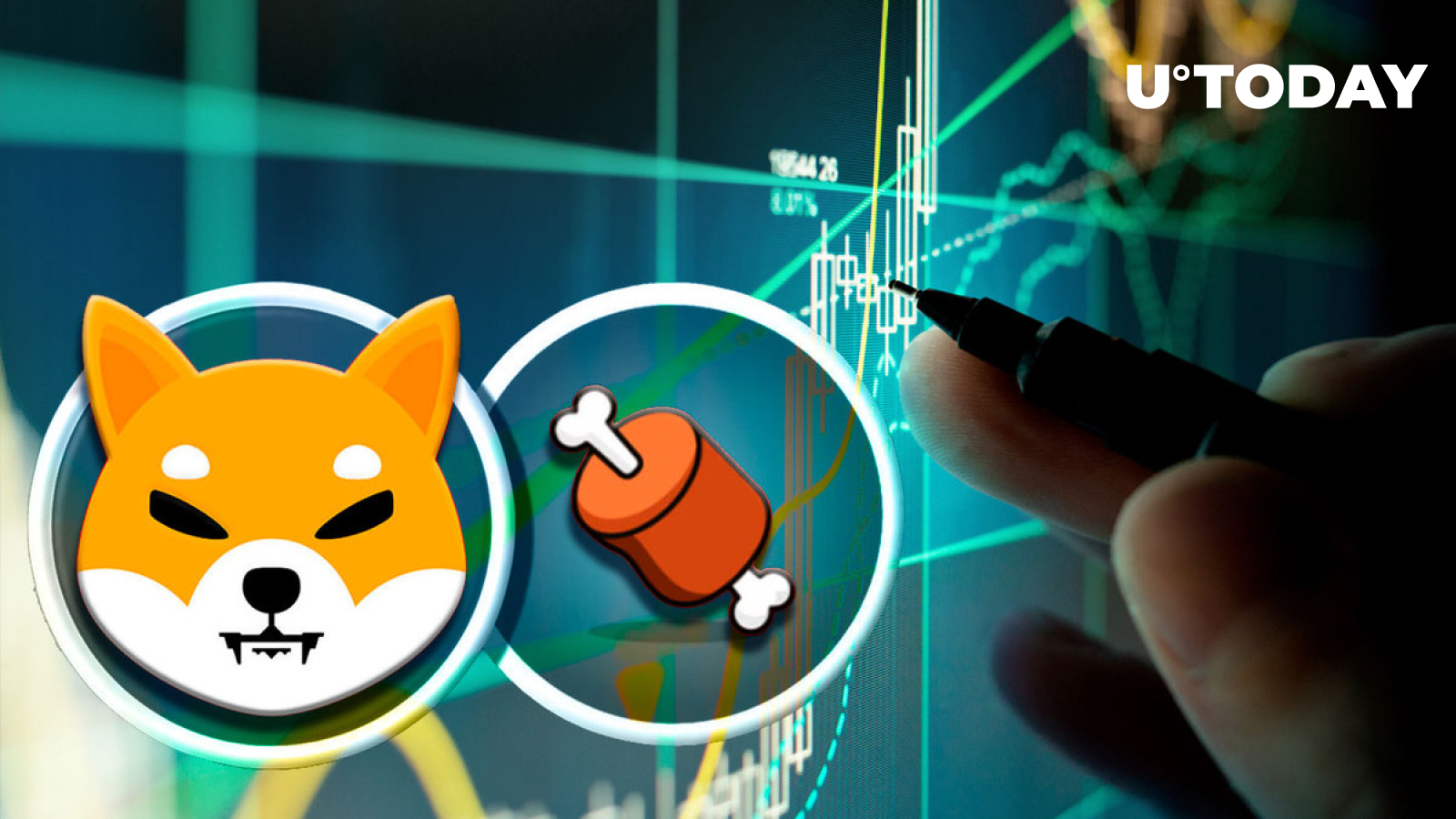 Shiba Inu's BONE Trading Volumes Surge 447%: Details - U.Today