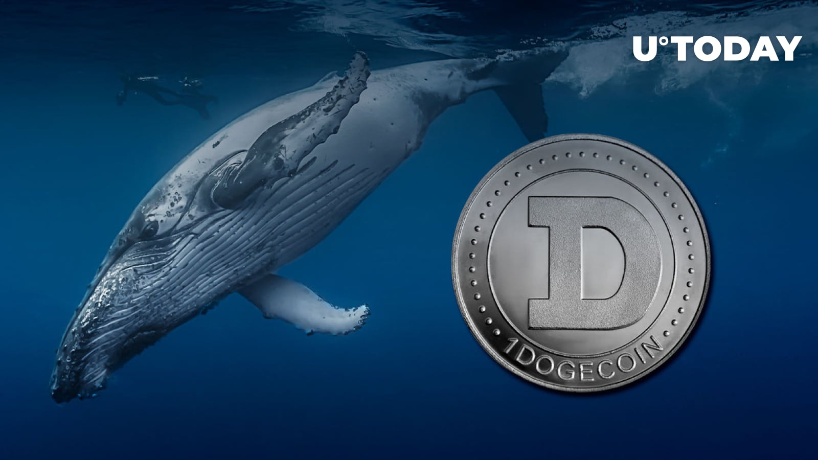 Dogecoin Team Clears up Rumor About Whale Who Holds Almost 30% of All ...