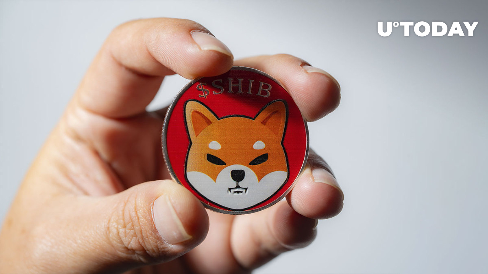 Shiba Inu: is it still worth investing in the altcoin meme?