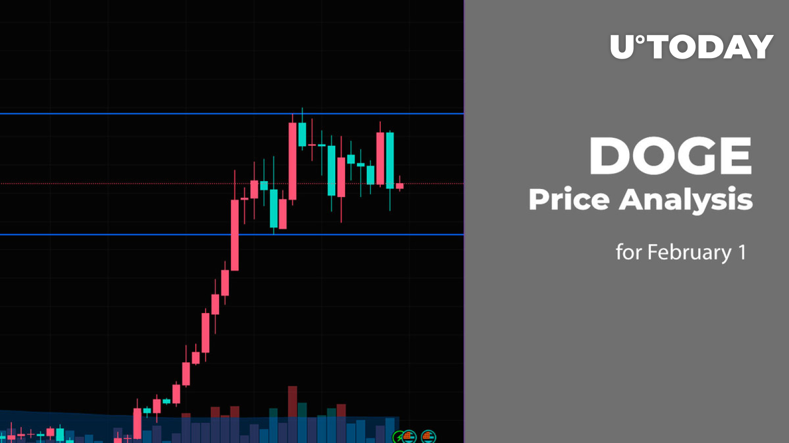DOGE Price Analysis for February 1 - U.Today