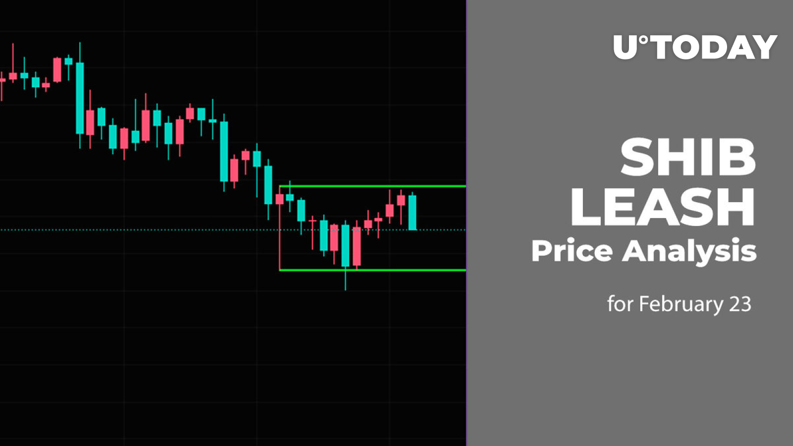 SHIB and LEASH Price Analysis for February 23 - U.Today