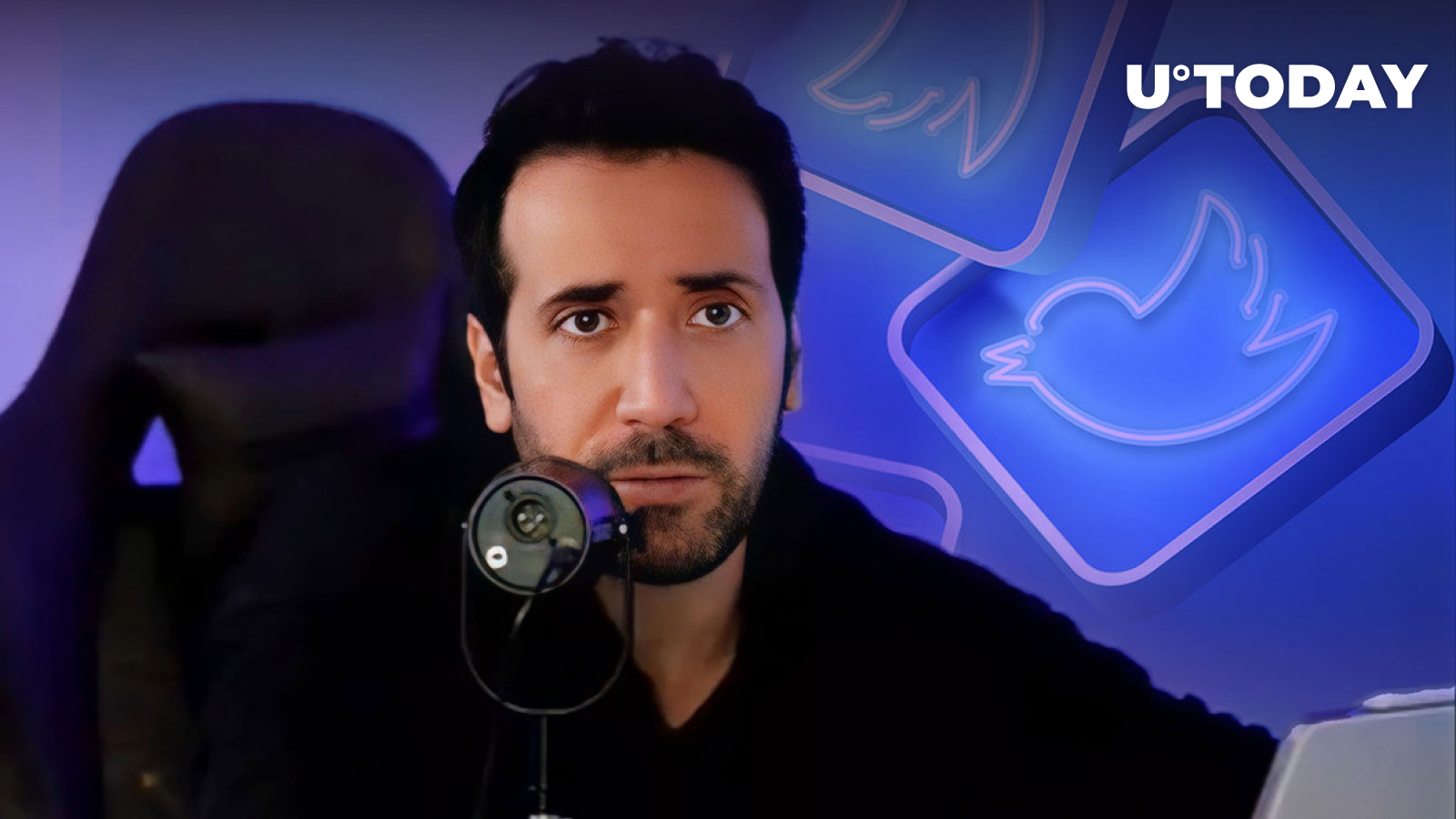 David Gokhshtein s Meme Coin Tweet Causes Vibrant Reaction By Community