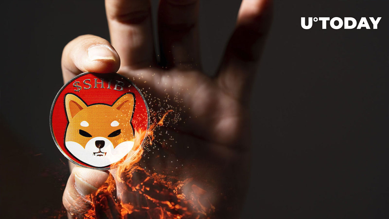 SHIB Army Burns 28 Million Shiba Inu, Here's How Much SHIB Still to Go - U.Today