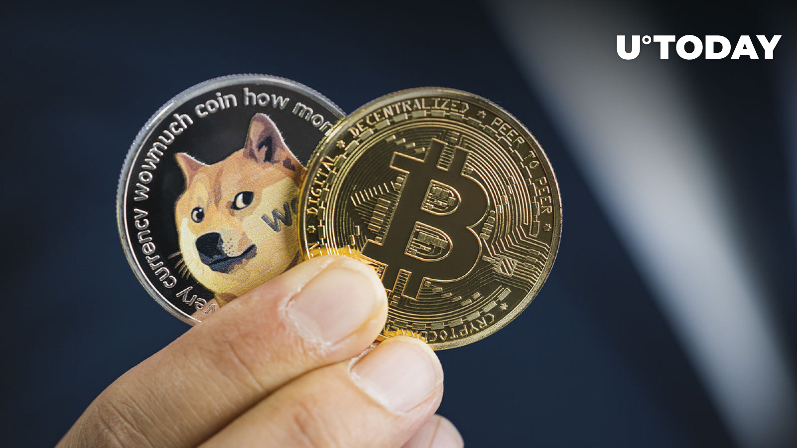 Dogecoin (DOGE) Breaks Correlation With Bitcoin (BTC) as Price Jumps 13 ...