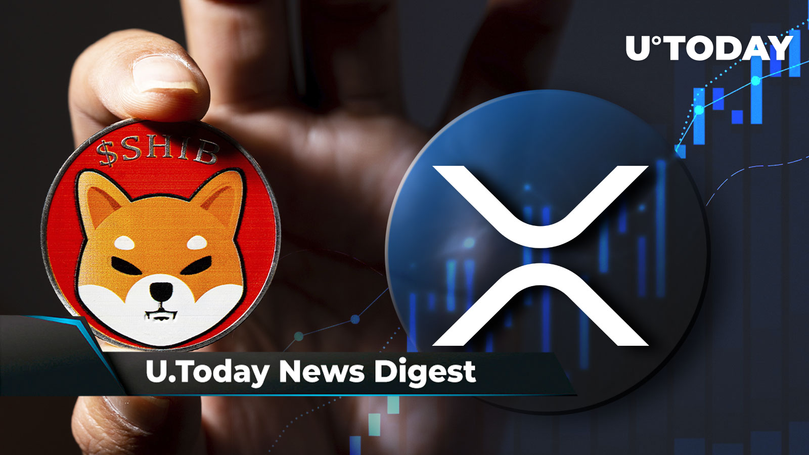 SHIB Lead Breaks Exciting News to SHIB Army, XRP Price Gains Momentum ...