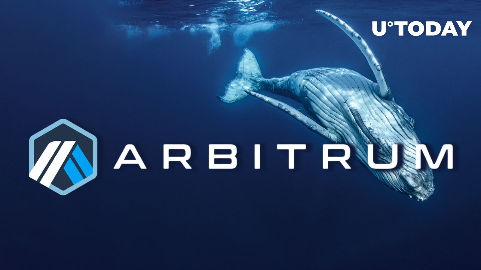 Millions of Arbitrum (ARB) Bought by Whale as ARB Dips, Here's How Much ...
