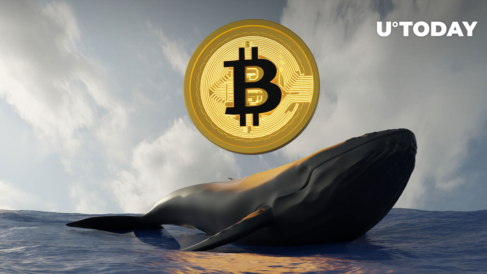 Ancient Bitcoin (BTC) Whales Are Massively Waking Up: What's Happening? - U.Today