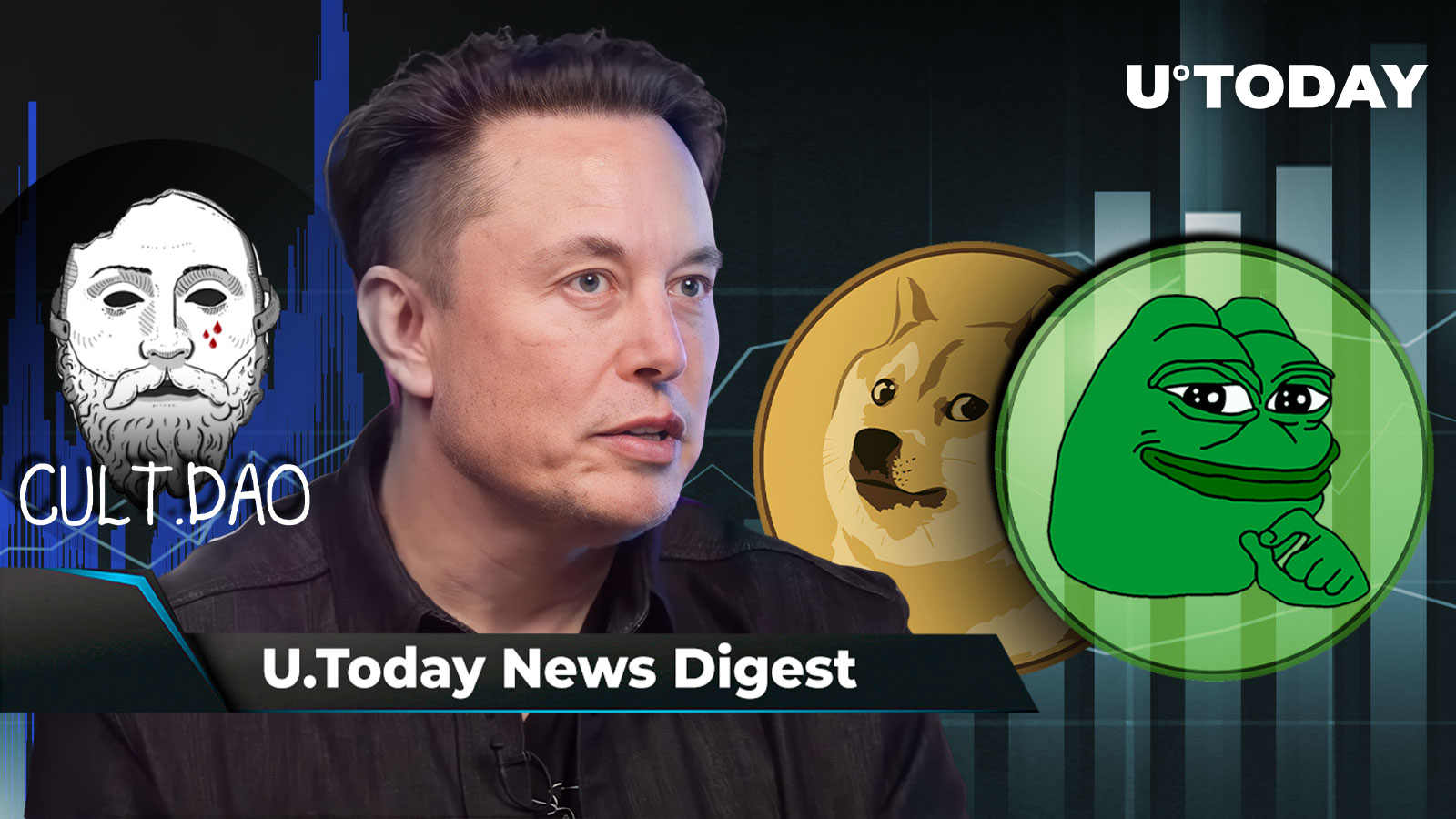 Elon Musk's Tweet Sent CULT Token up 84%, SHIB Lead Issues Major ...