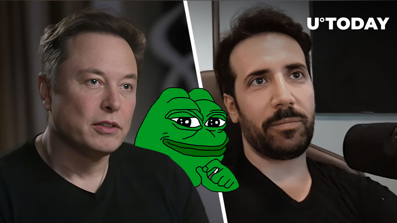 Is Elon Musk Shutting Down PEPE Memes on Twitter? David Gokhshtein ...