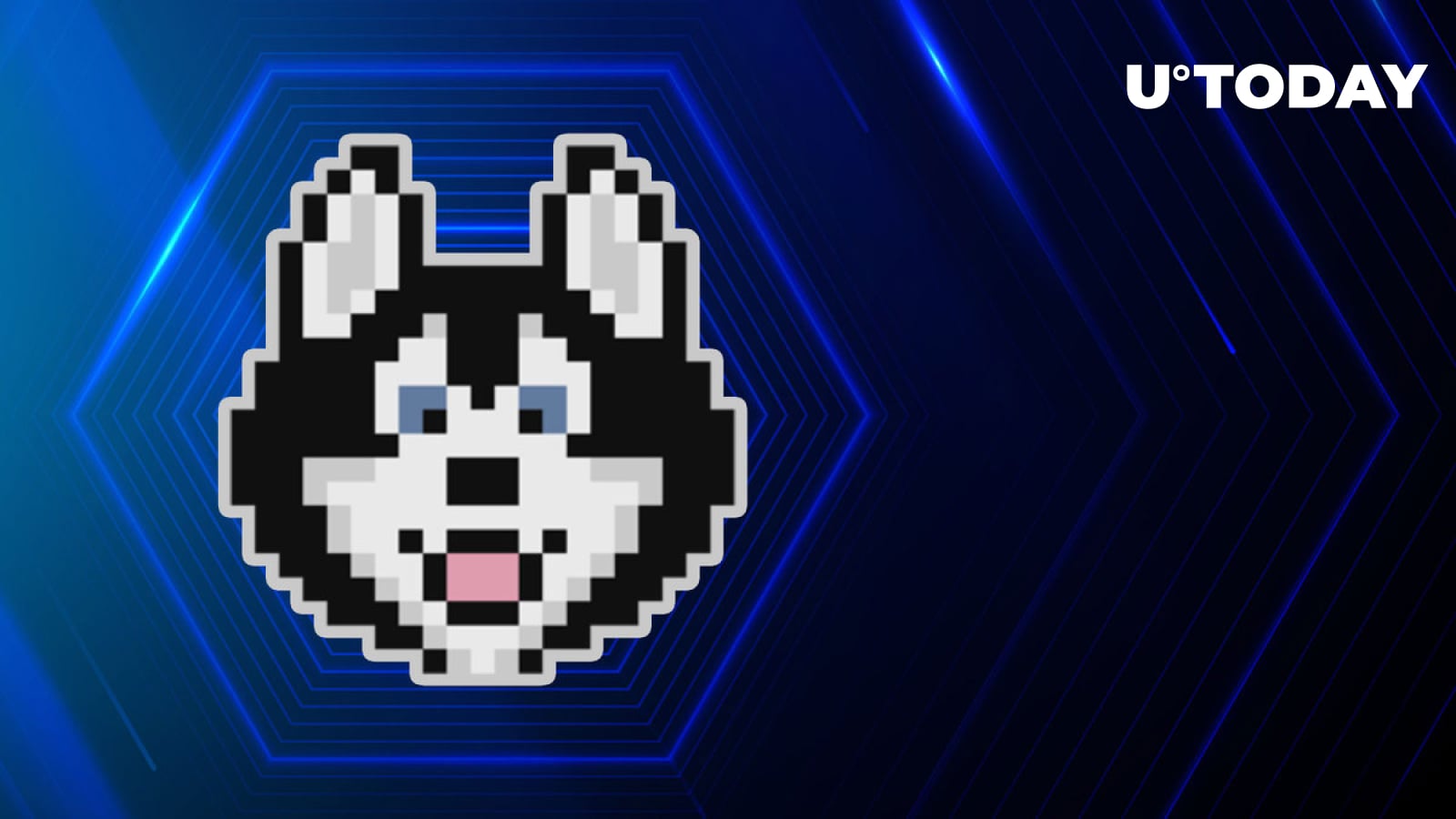 Cardano Meme Coin HOSKY Lands Major Listing on Asian Exchange - U.Today