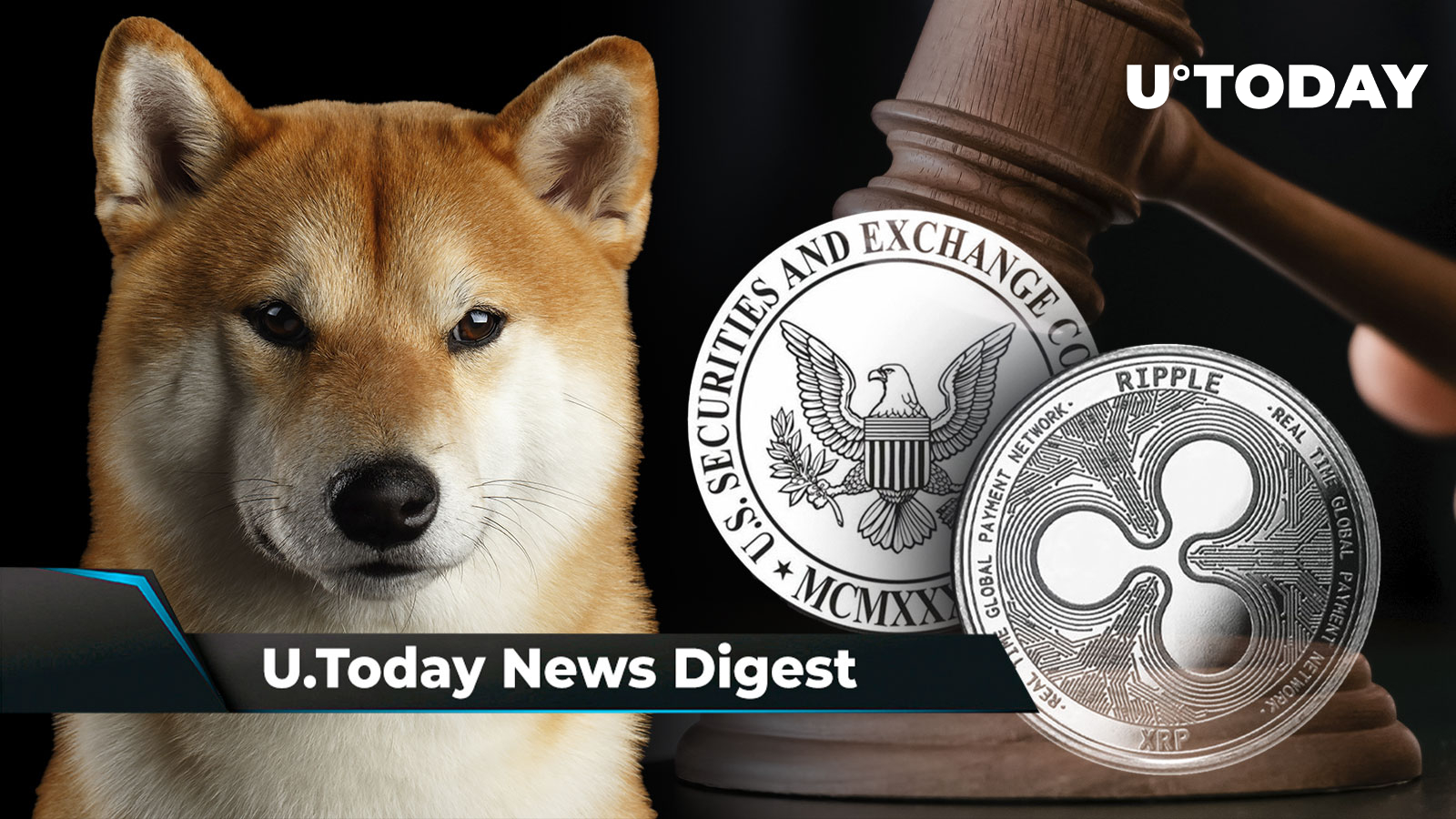 Shytoshi Kusama Issues Major Warning on Shibarium, Top Lawyer Reacts to ... Shytoshi Kusama Issues Major Warning on Shibarium, Top Lawyer Reacts to ...