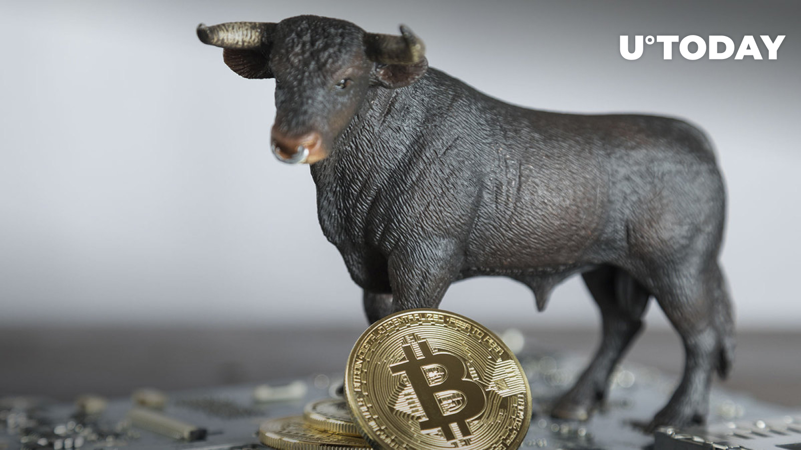 Top Analyst Says Bitcoin Is in Bull Market - U.Today