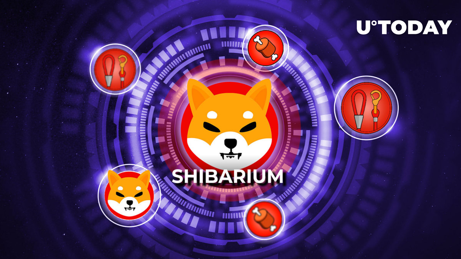 Shibarium to Go Way Beyond SHIB, LEASH and BONE: SHIB Team Marketing ...