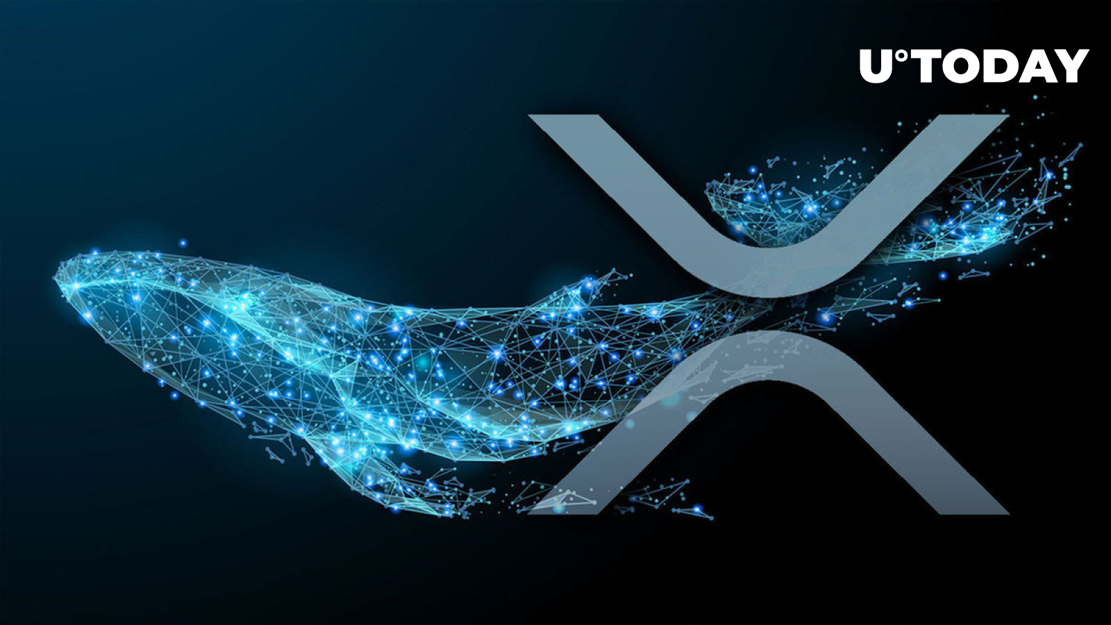 Massive 563,571 XRP Token Shift by Whale Sparks Speculation: Details ...
