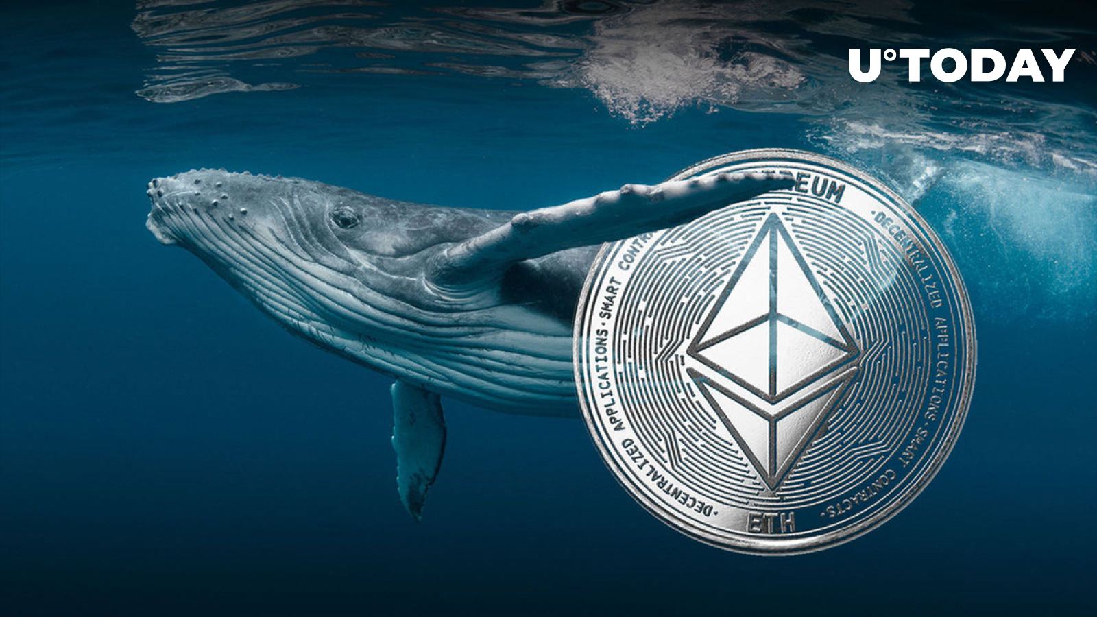 Whales Scoop up $94 Million in ETH in Just One Week - U.Today