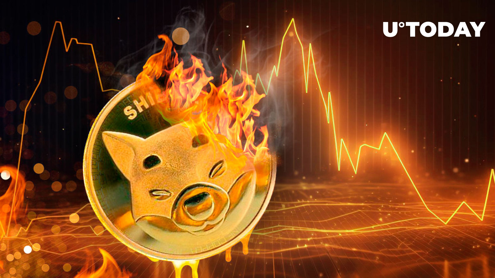 SHIB Burn Rate Shows Mysterious Plunge Despite Recent Statements From SHIB Team