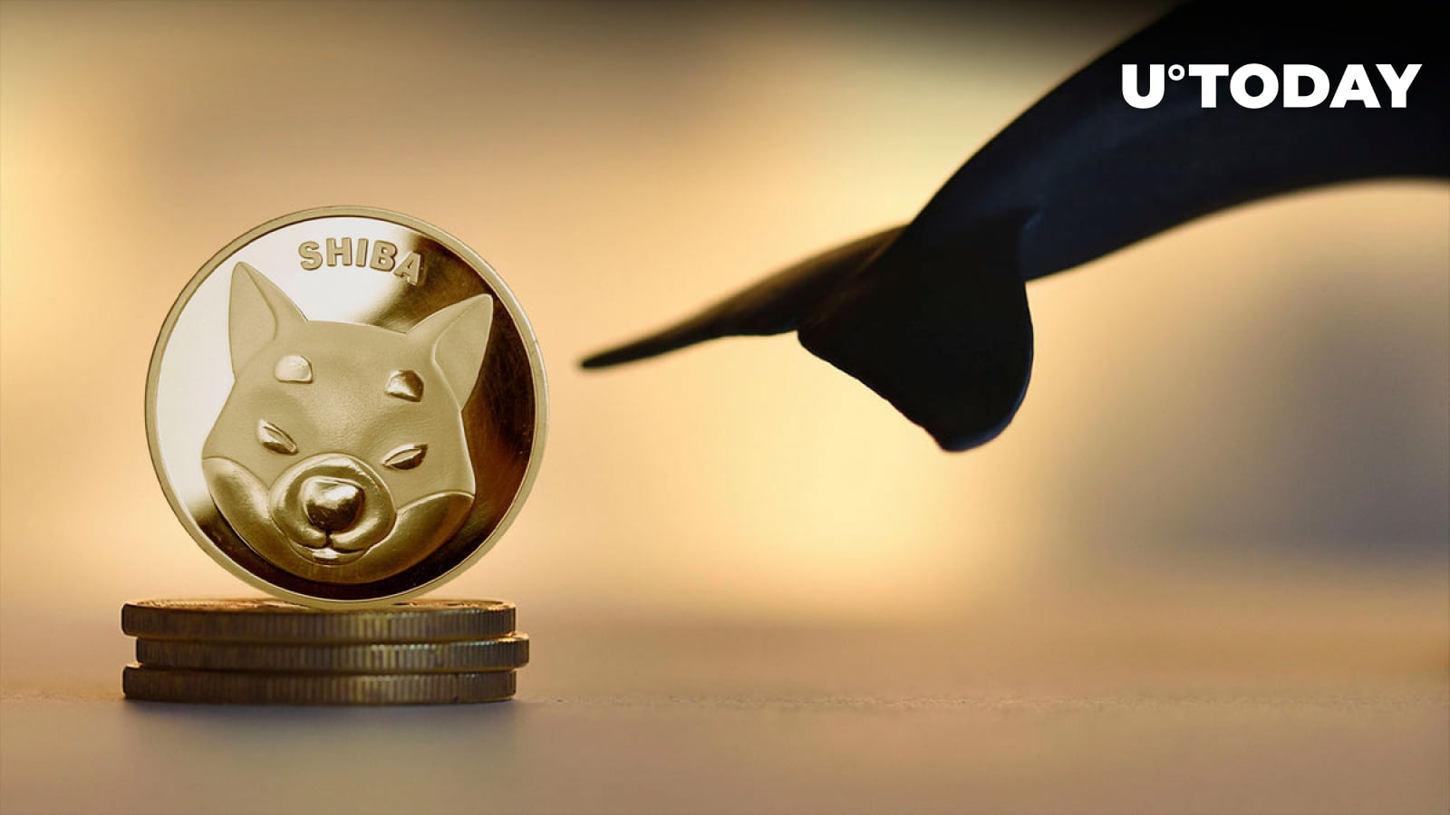 Shiba Inu (SHIB) Whales Went to Sleep: Here's Why It Might Be Positive ...