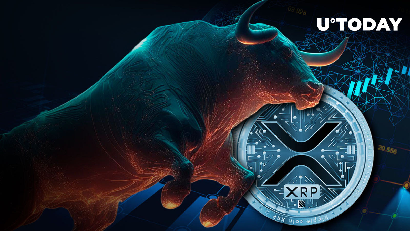 XRP Traders Making Bullish Bets as Volume Jumps 40%
