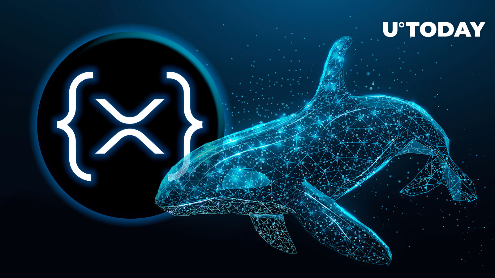 Key XRP Ledger Whale Wallets Boost Holdings Despite Reduced Activity - U.Today