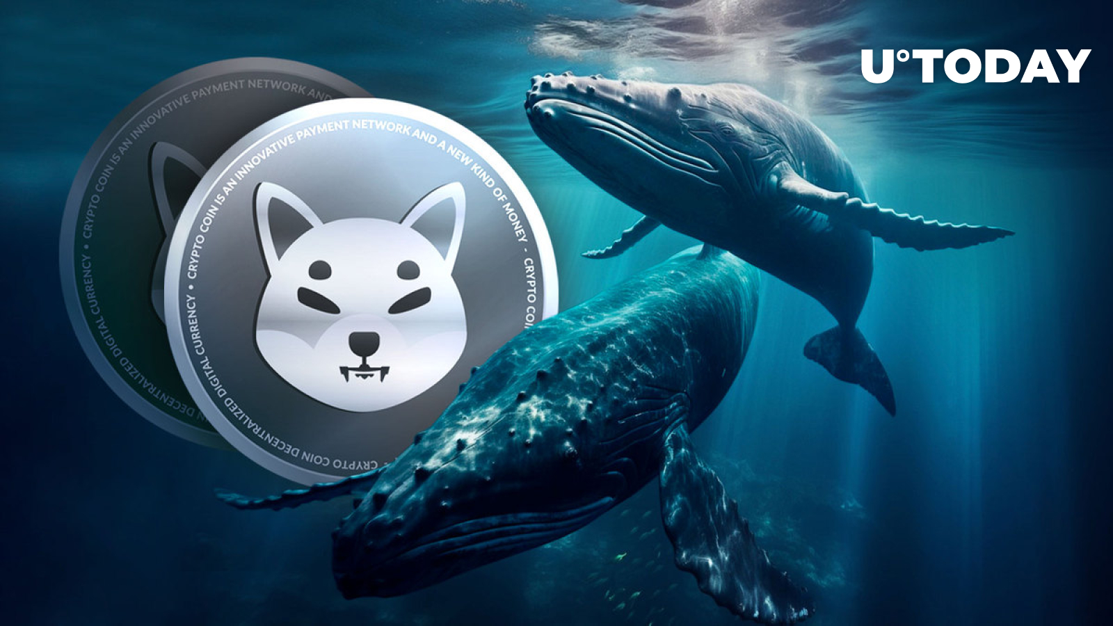 Shiba Inu Whales Wake up, With Trillions of SHIB Moved - U.Today