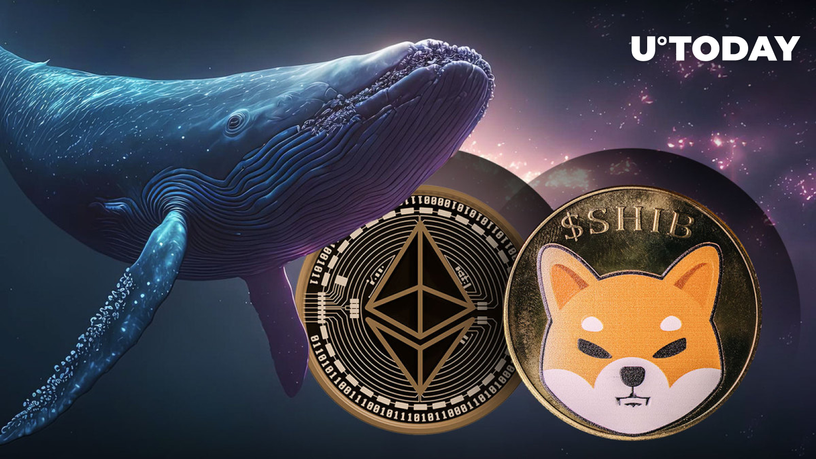 $1.6 Billion Profit Made on SHIB, ETH in One Year by Smart Whale: Details - U.Today