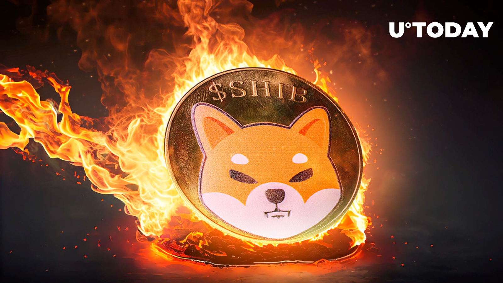 SHIB Burn Rate Skyrockets 27,510% as SHIB Team Destroys 9.3 Billion Shiba Inu - U.Today