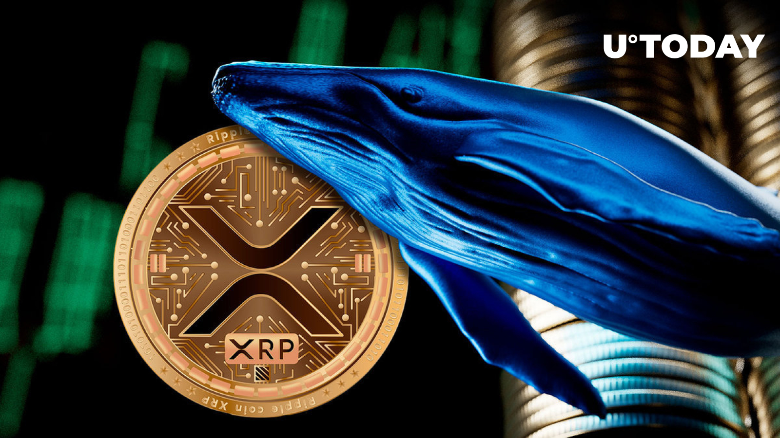 Millions of XRP Snapped up by Whale as Price Prepares Epic Move - U.Today