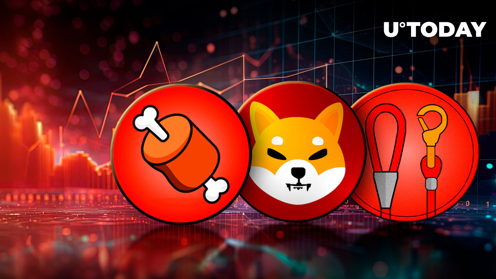 Attention: SHIB, BONE, LEASH Holder Key Warning Issued - U.Today