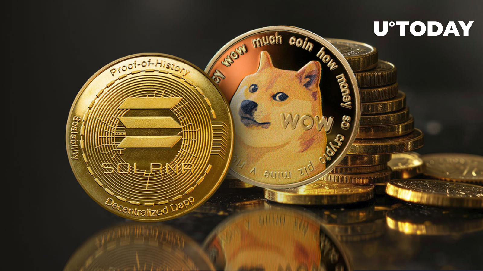 Dogecoin Only: DOGE Creator Denies Ties to Cat-Inspired Solana Meme Coin - U.Today