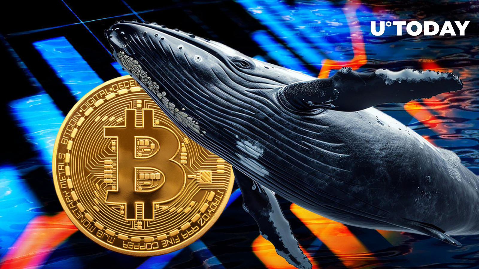 Massive Bitcoin Whale Makes Major Transfer to Coinbase - U.Today