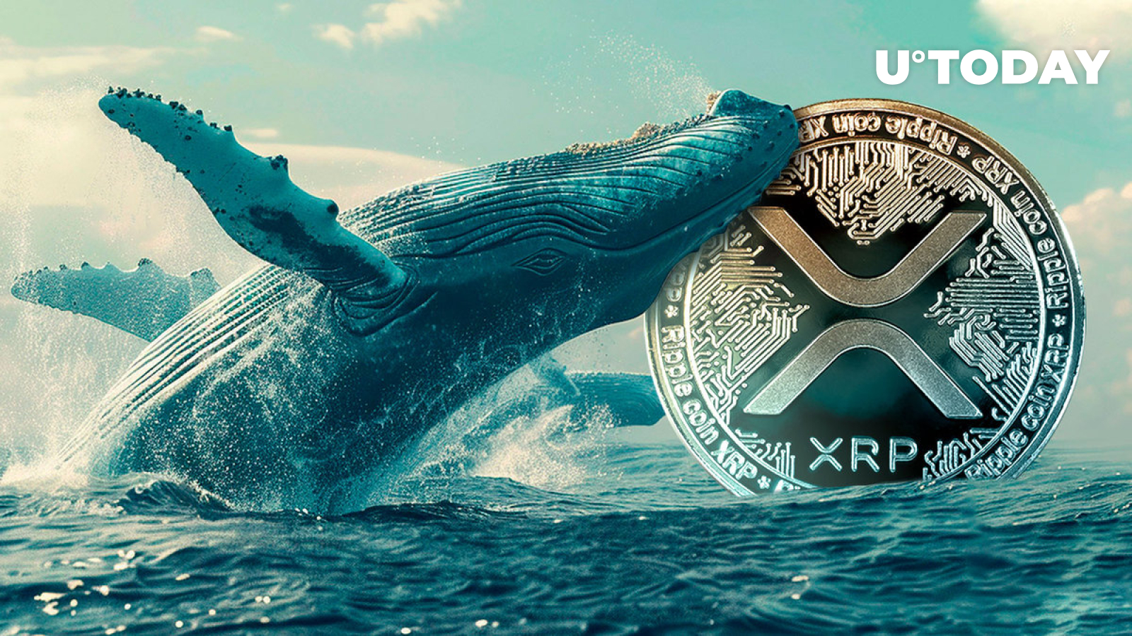 Extreme Surge in XRP Whales Spotted - U.Today