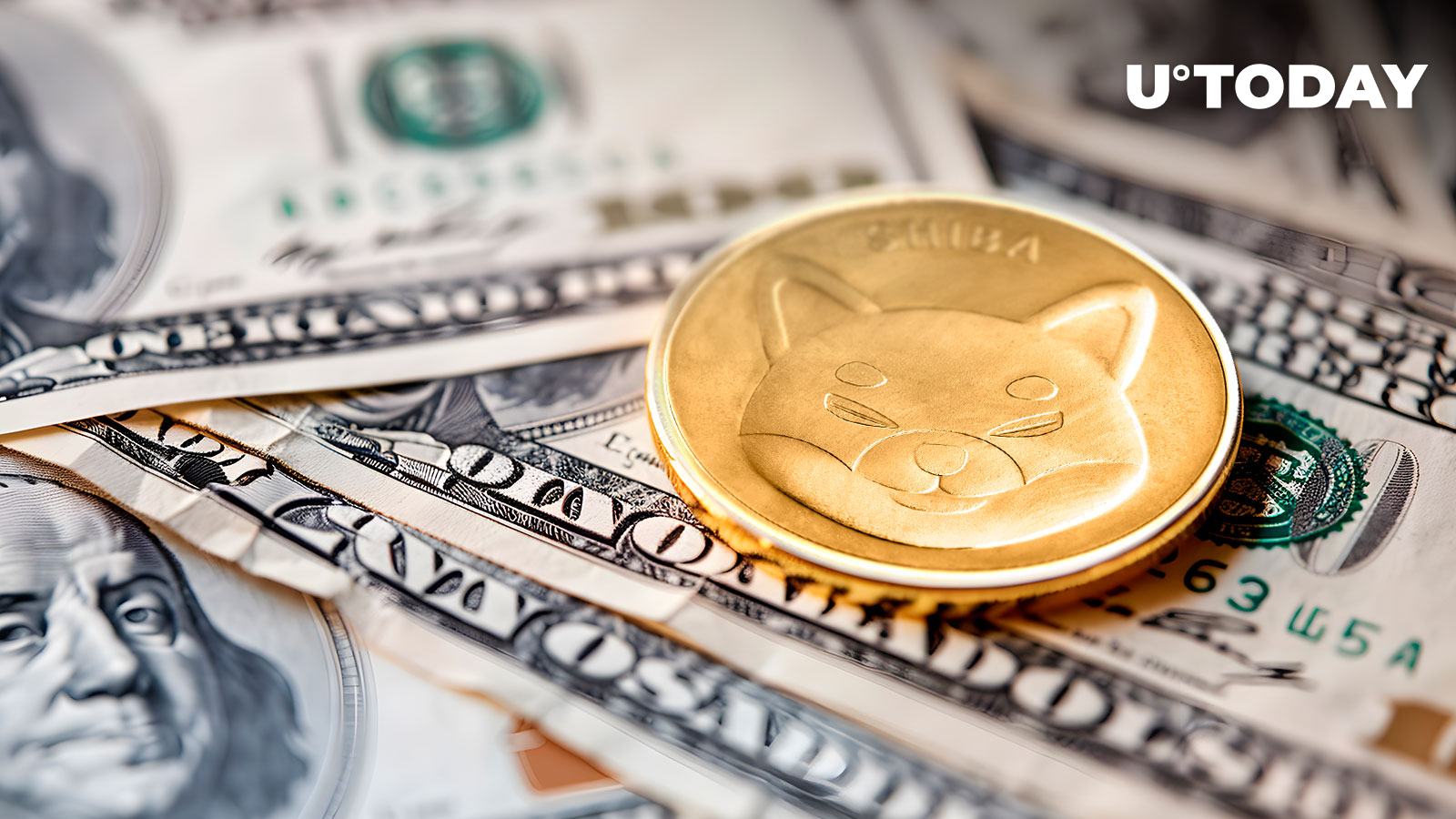 $100 Million in Shiba Inu (SHIB) in 24 Hours, What's Happening? - U.Today