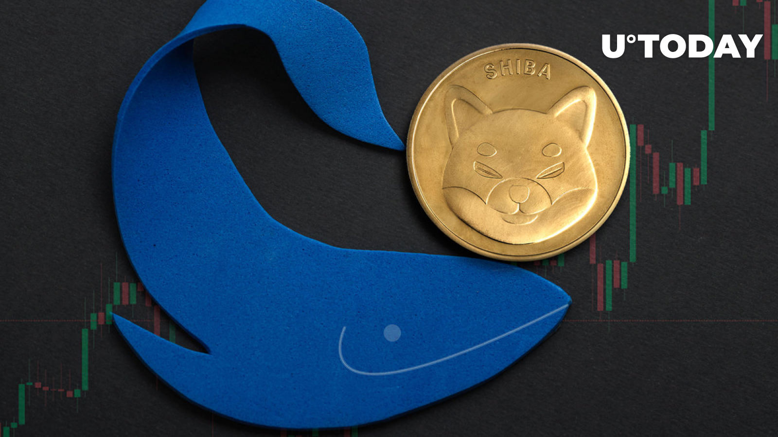 Shiba Inu (SHIB) Skyrockets 625% in Surprising Inflows as Whales Begin Big Moves - U.Today