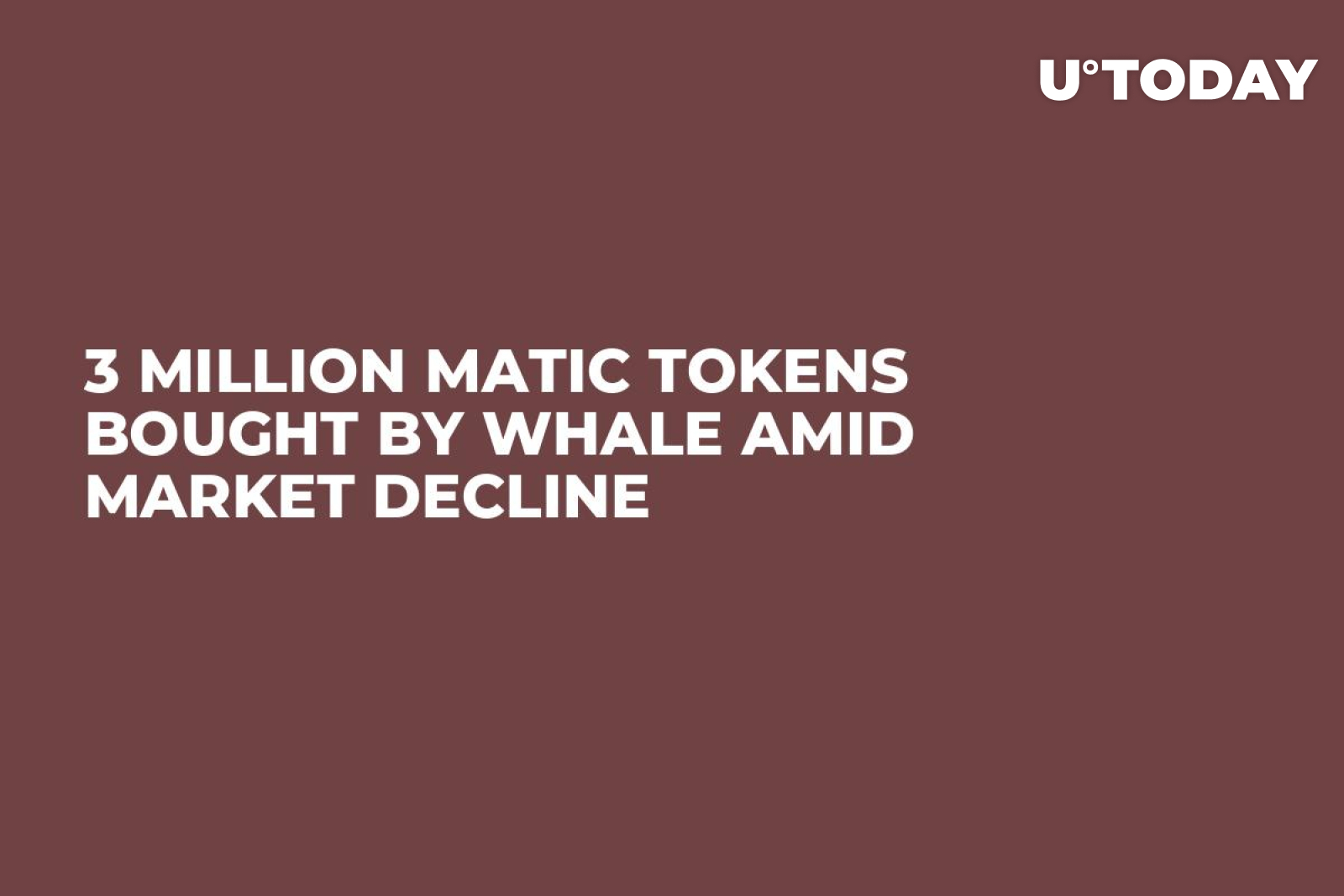 3 Million MATIC Tokens Bought by Whale Amid Market Decline - U.Today