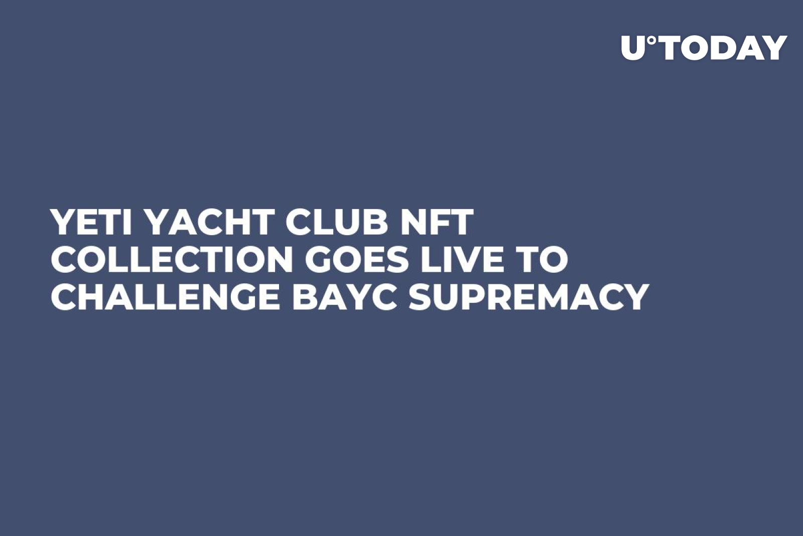 Yeti Yacht Club NFT Collection Goes Live to Challenge BAYC Supremacy ...