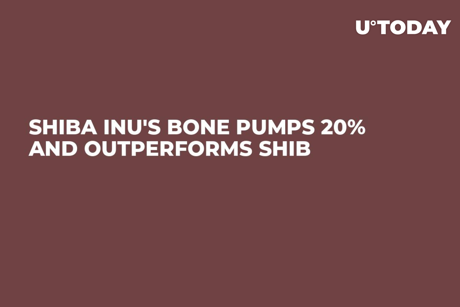 Shiba Inu's BONE Pumps 20% and Outperforms SHIB - U.Today