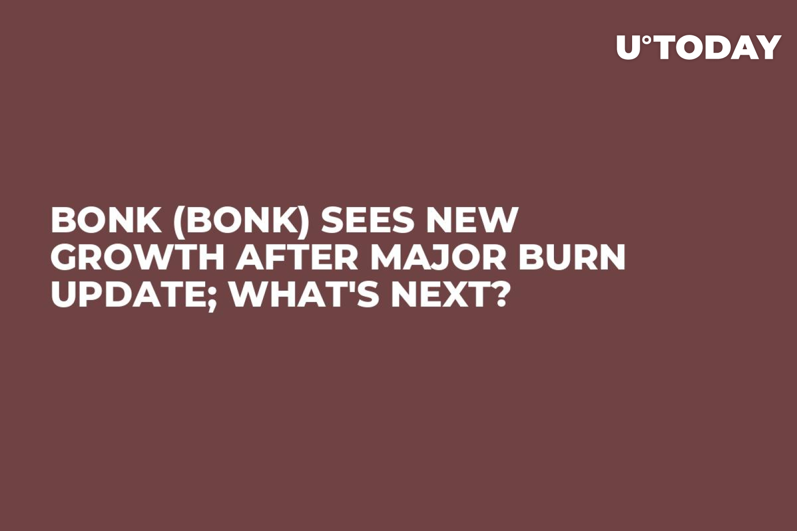 Bonk (BONK) Sees New Growth After Major Burn Update; What's Next? - U.Today