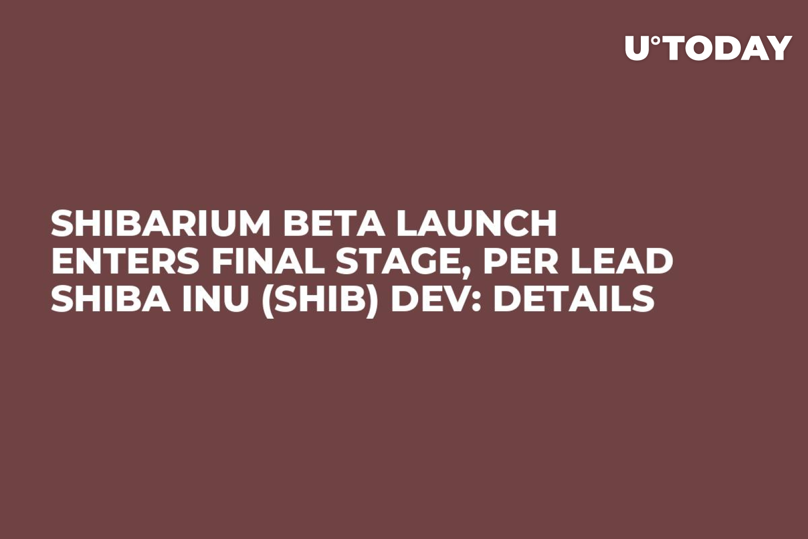 Shibarium Beta Launch Enters Final Stage, Per Lead Shiba Inu (SHIB) Dev ...